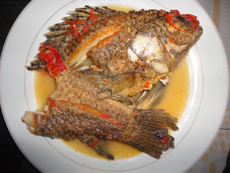 SAMAKI KITOWEO BORA KINACHOKUZA AKILI, KUONGEZA MAISHA ~ Mzizi Mkavu