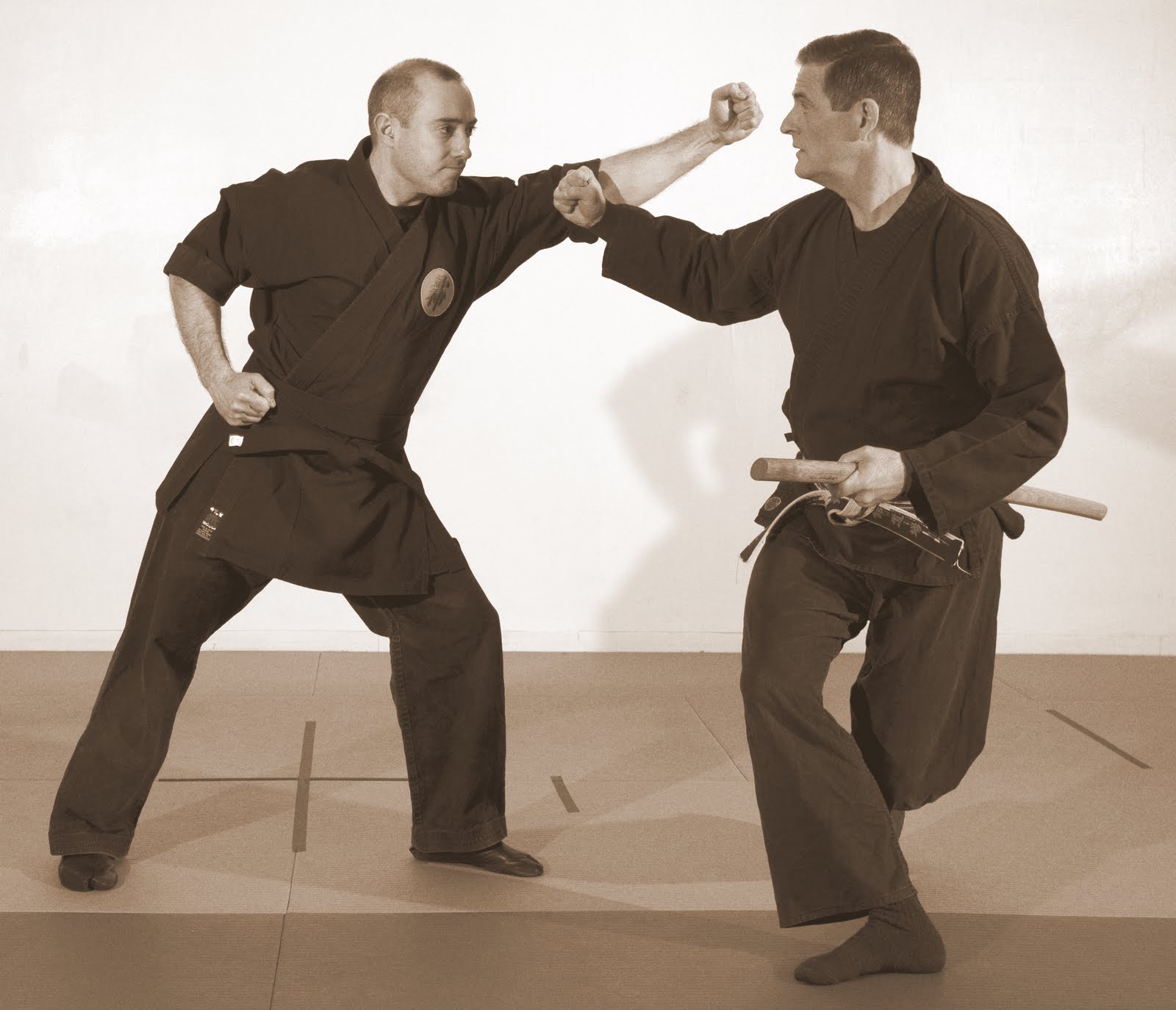 kosshi: The Girl who learned Taijutsu in 10 minutes