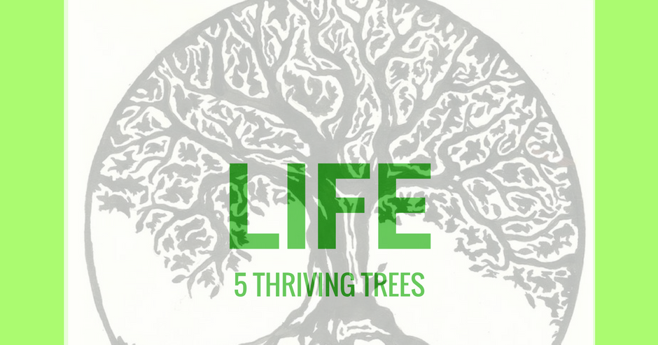 Celebrating Life - 5 Thriving Trees | THRIVING WIVES