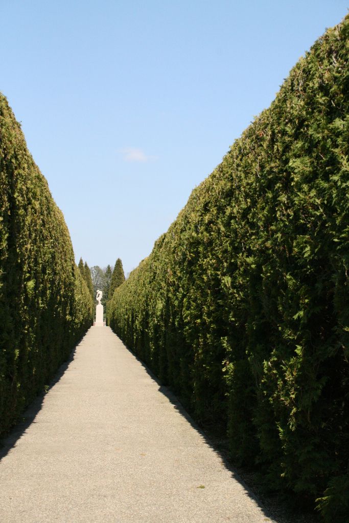 Library of Babel: Podcast Episode 12: The Other Side of the Hedge