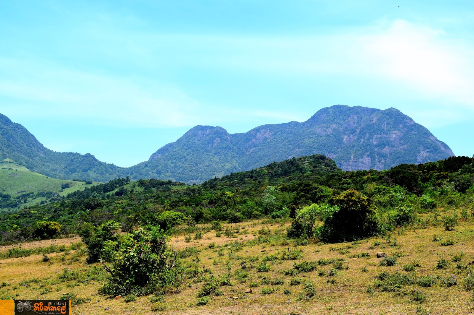 පිටවල පතන (pitawana pathana) - "Thirikkale" (තිරික්කලේ)