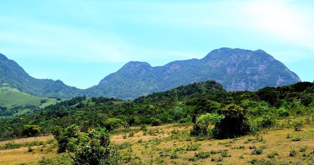 පිටවල පතන (pitawana pathana) - "Thirikkale" (තිරික්කලේ)