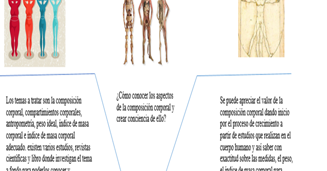 Nutrición Diseño y Composición de Menús : Que es la composición ...