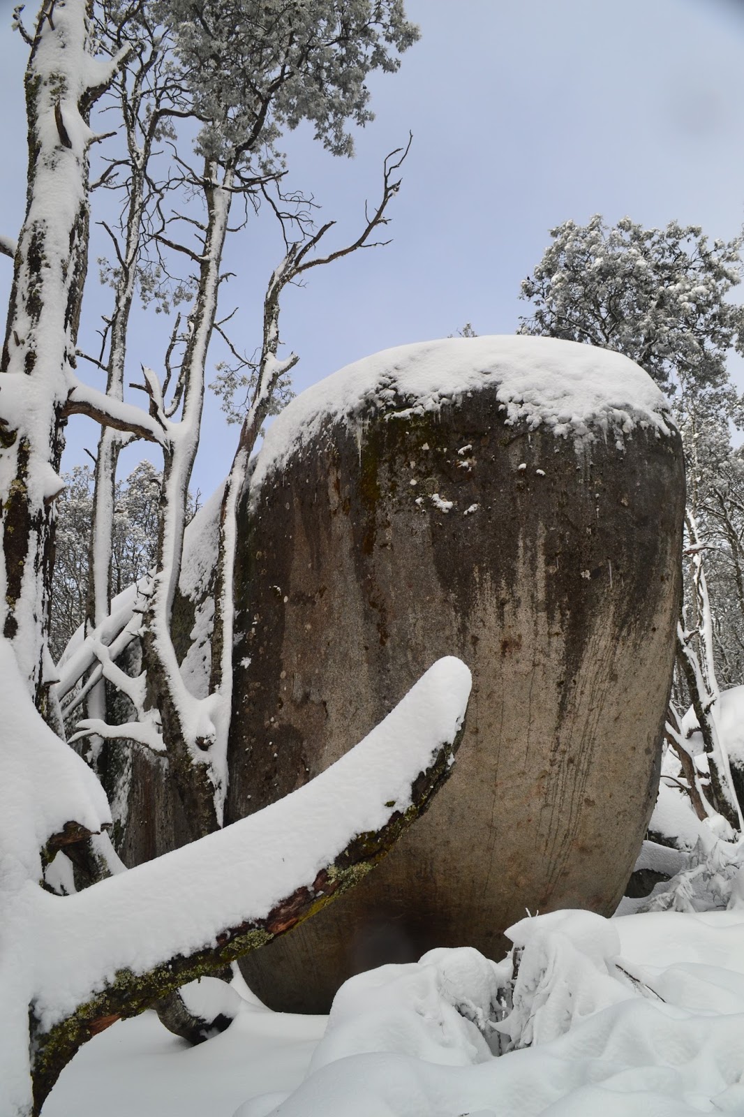 Goin' Feral One Day At A Time: Mushroom Rocks, Baw Baw National Park ...