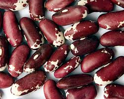 New World Food: Harvest Ingredient 18: New World Beans