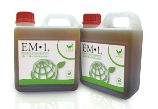EM Effective microorganism: What is EM?