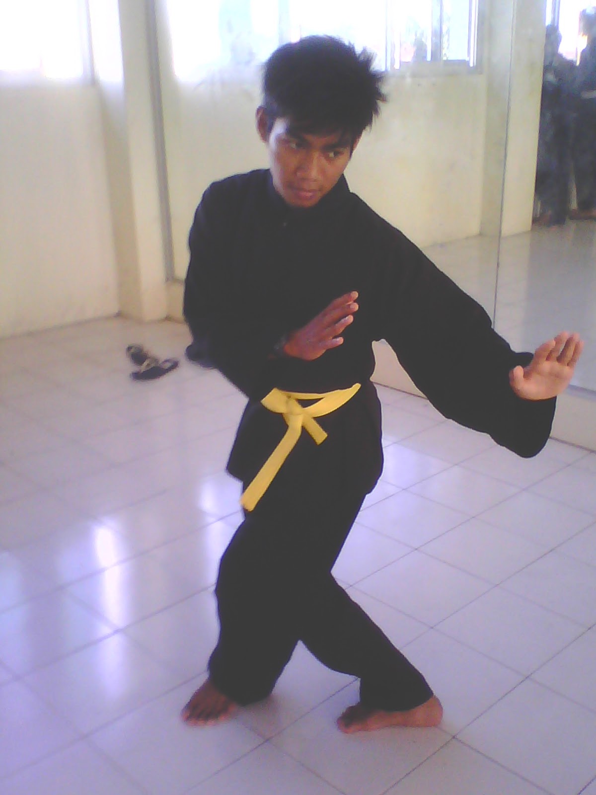 ikhwanularifan: pencak silat dasar