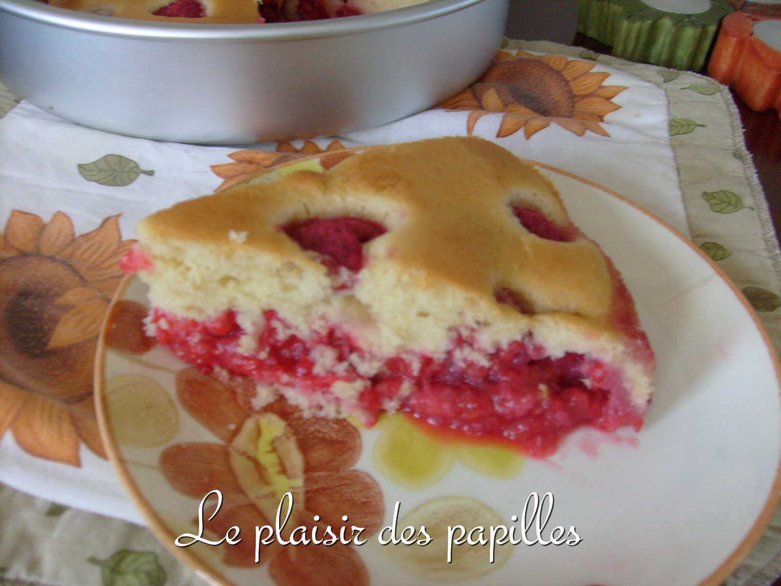 Le plaisir des papilles: Gâteau-pouding aux framboises