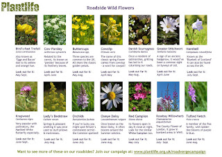 Welcome to the Green Heart Dens blog page.......: FREE wildflower ...