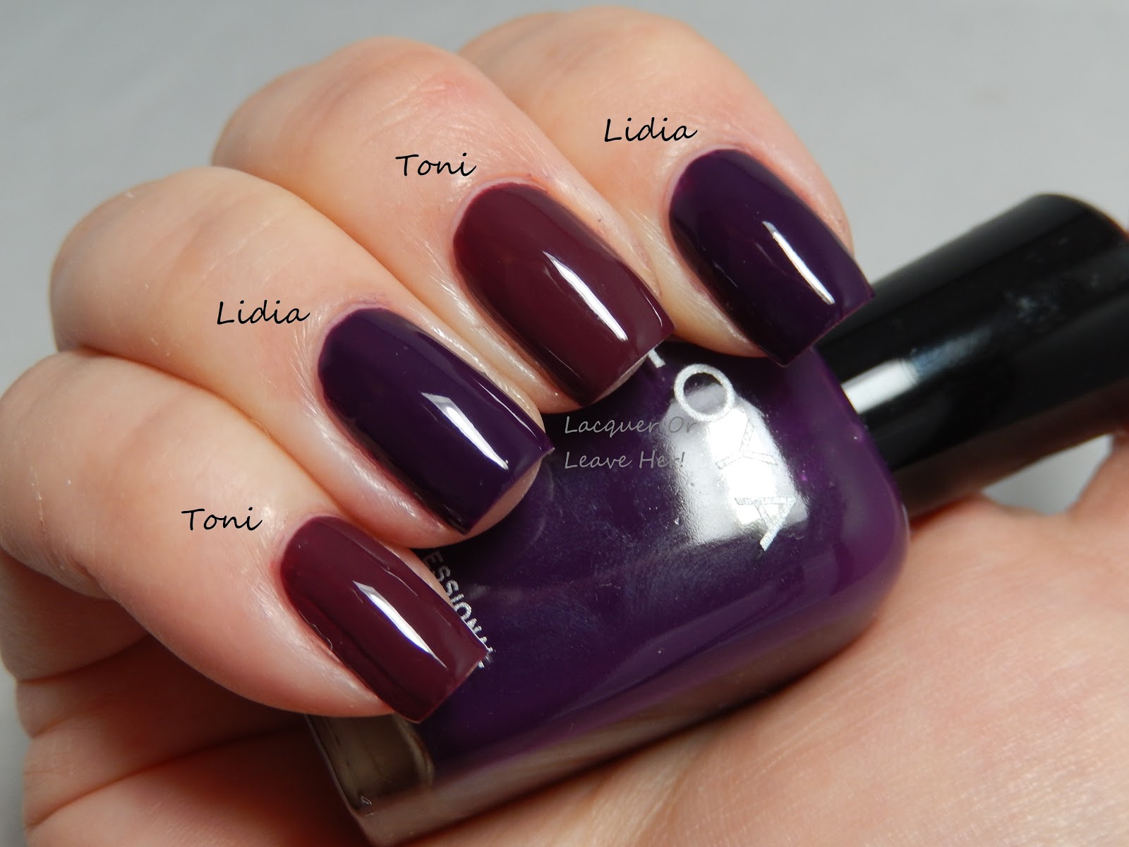 world of beauty: Comparison: Zoya purple cremes