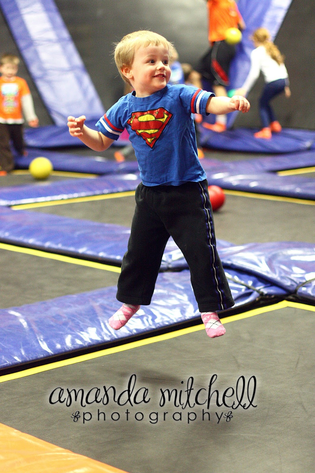 Amanda Mitchell Photography