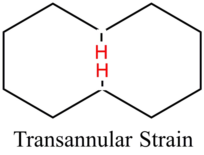 Dr. Anand S. Burange