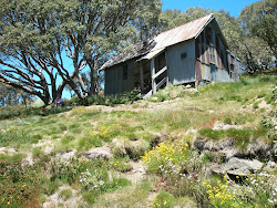 walkabouters club of victoria inc: Pretty Valley - Tawonga Huts - Mount ...