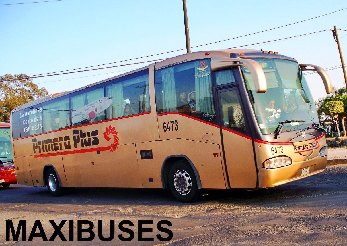 MAXIBUSES: PRIMERA PLUS