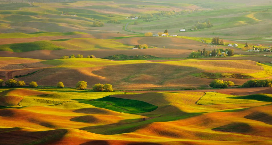 BING Image Archive (Pictures of the Year)