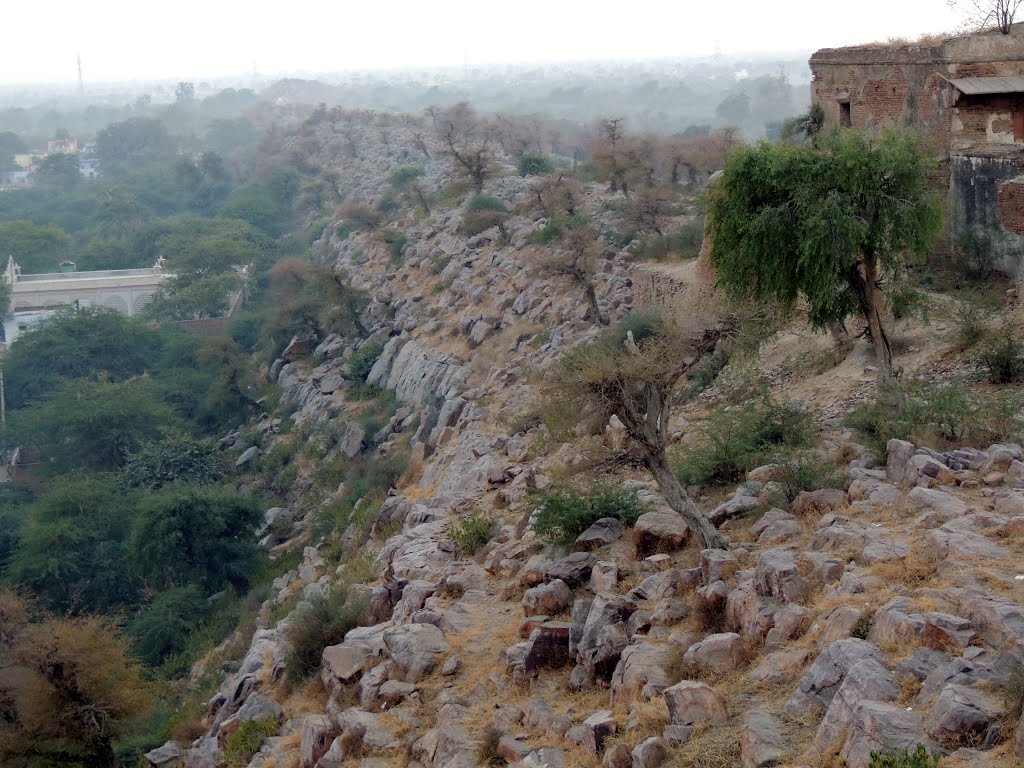 Discovering Mughal, Rajput & Mauryan History: Farman of Mughal Emperor ...