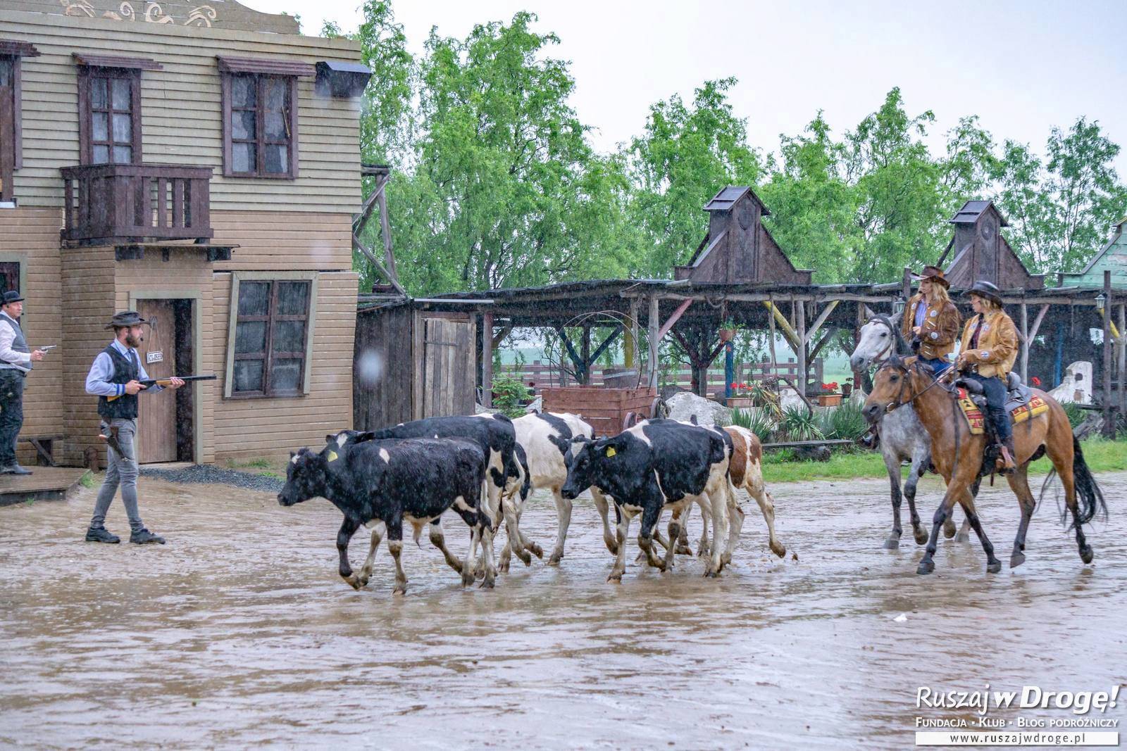 7 pomysłów na Pałuki. Poznaj historie tych, którzy tworzą turystyczne ...