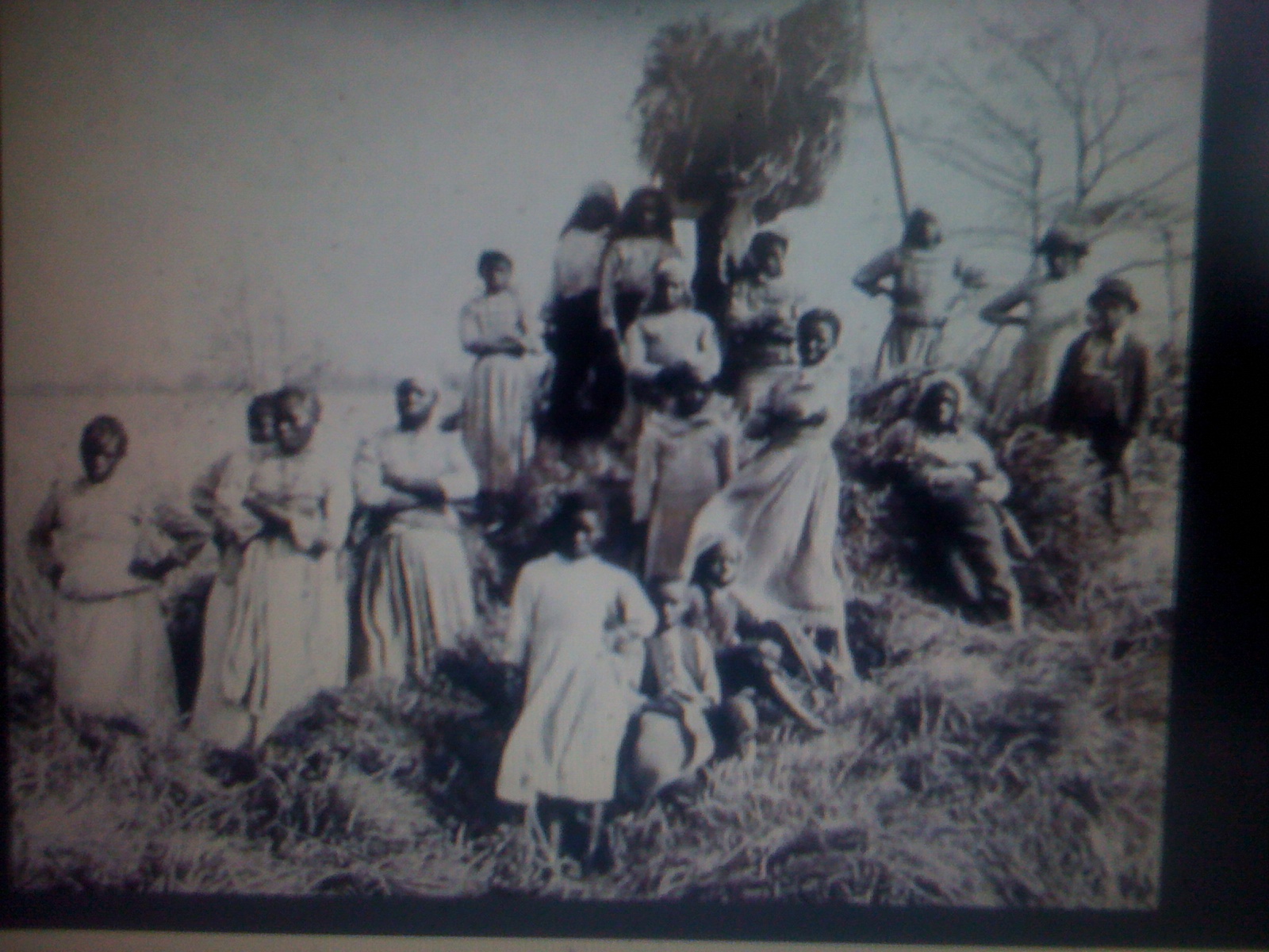 THE BLACK SOCIAL HISTORY:: BLACK SOCIAL HISTORY: SLAVERY IN KENTUKEY