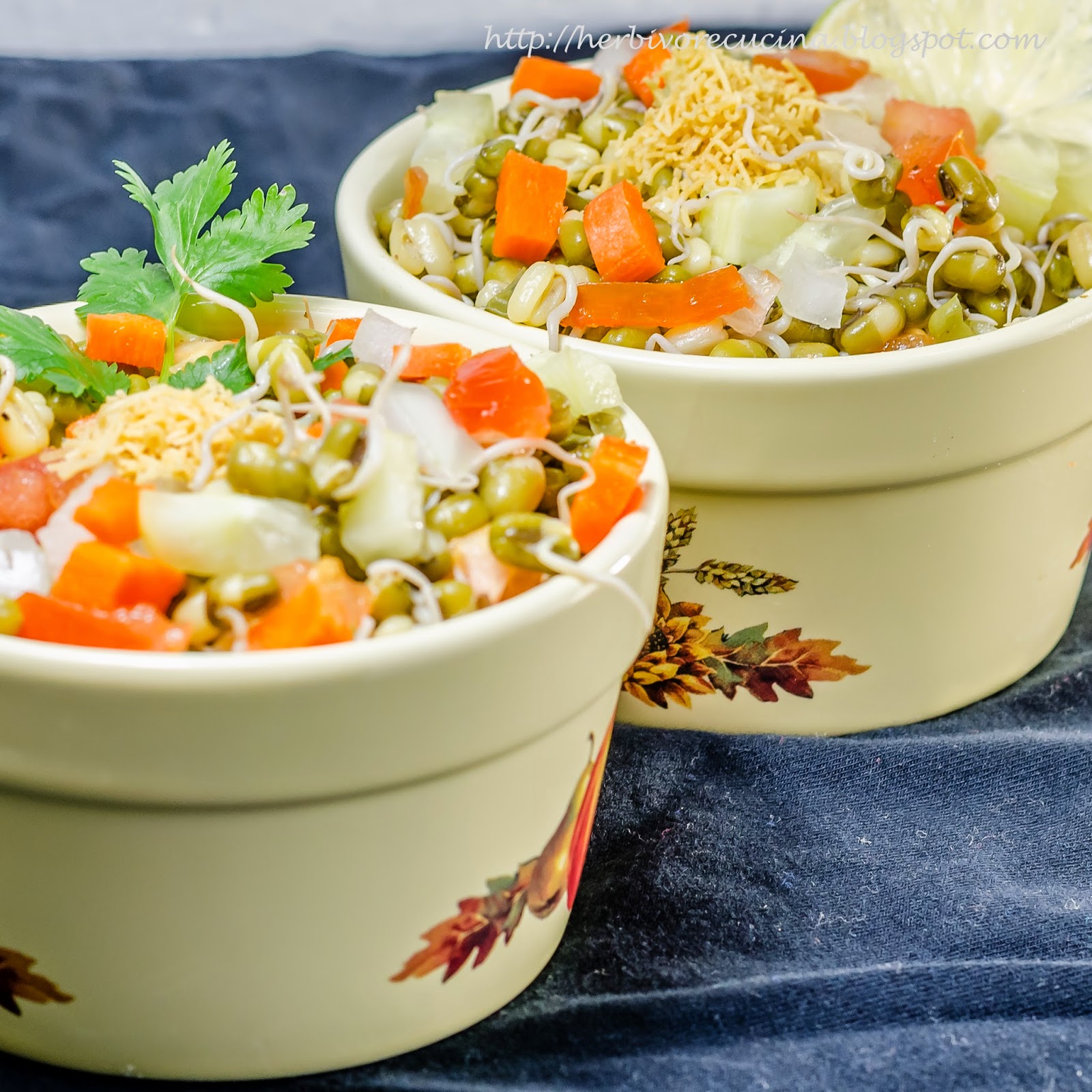 Herbivore Cucina: Moong Sprouts Bhel | Sprouts Salad