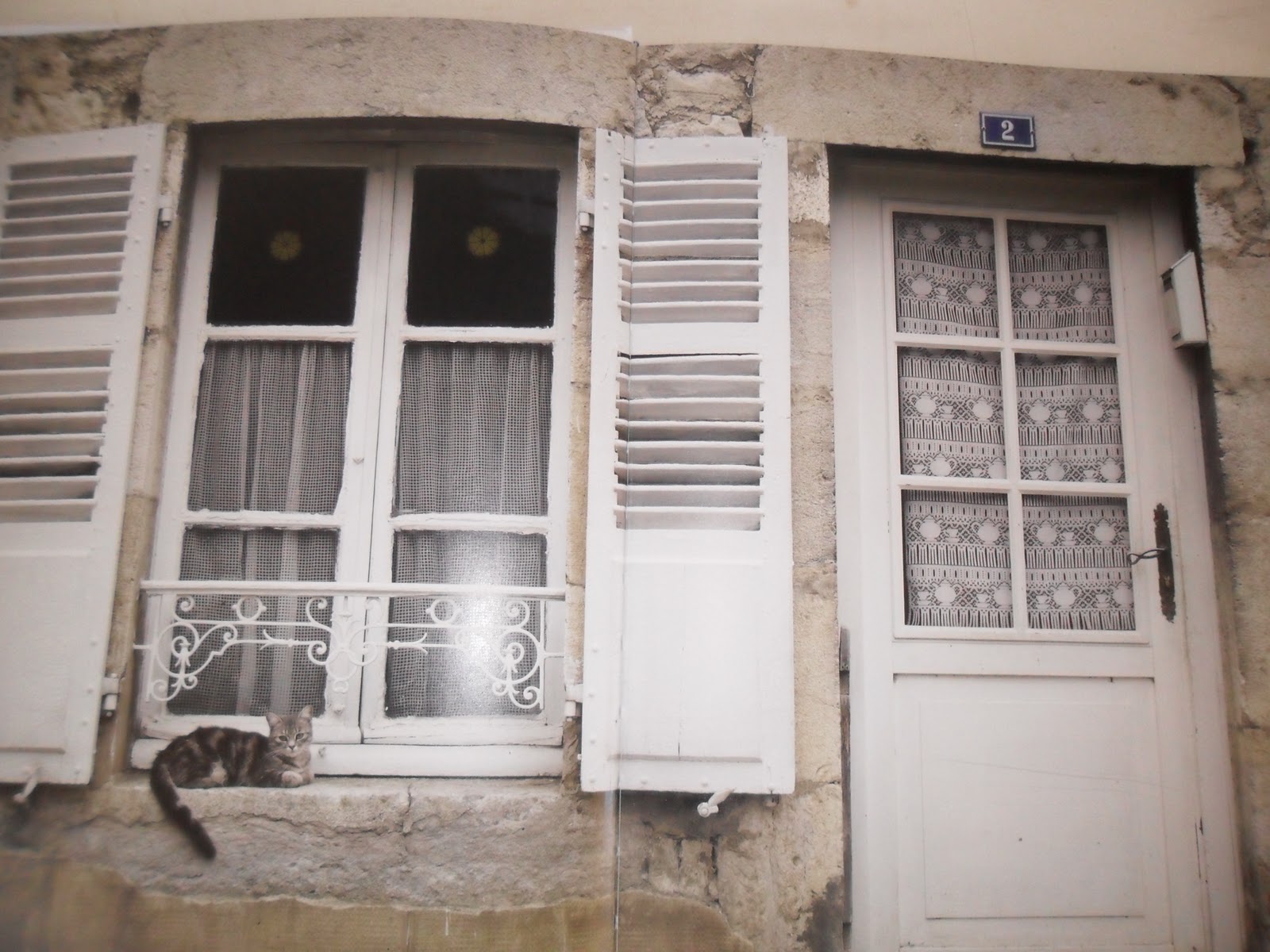 Nostalgia, Mystery And Arty Gardens.: A BOOK A MONTH - THE FRENCH CAT