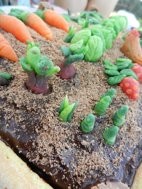 Bec I am.: Organic Veggie Patch Cake