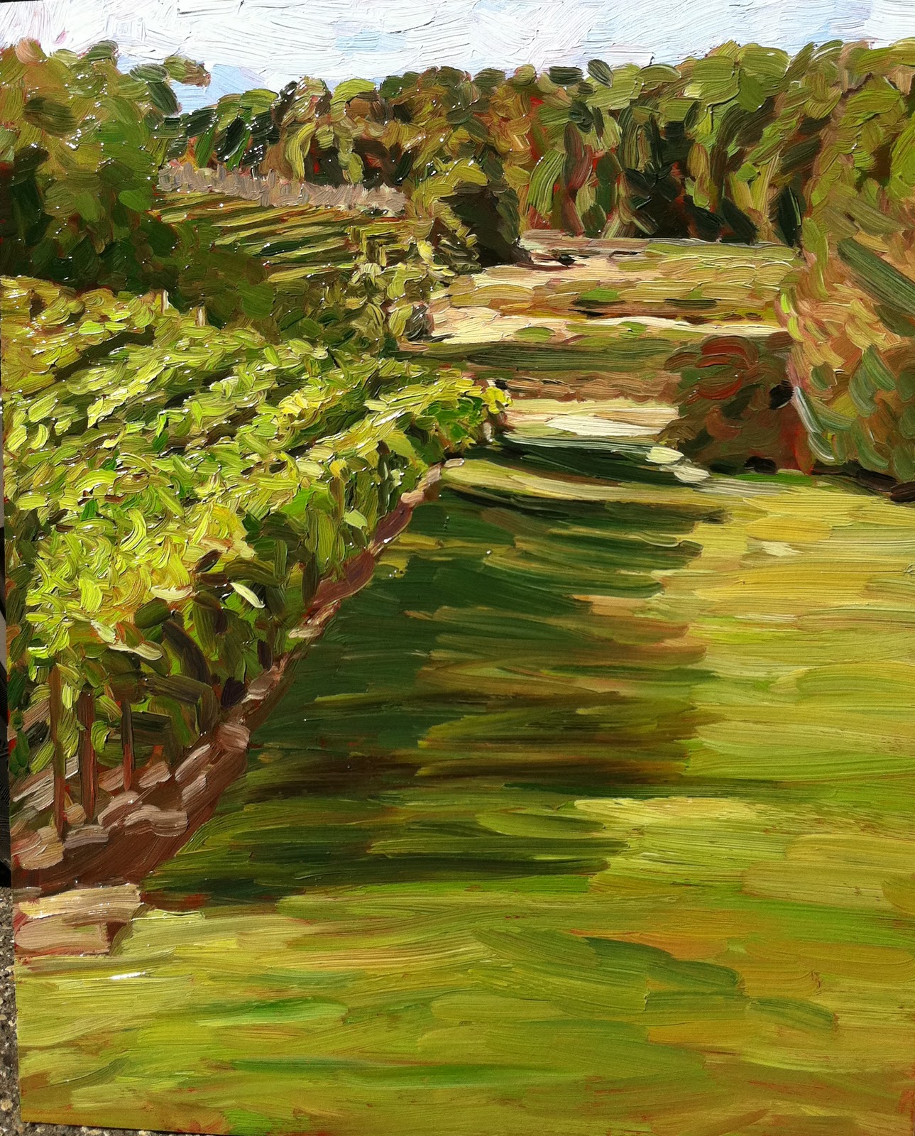 Lisa Colwell: Landscapes