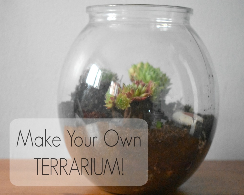 Make Your Own Terrarium! {Tutorial} - Whimsical Mumblings