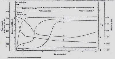 Spontaneous Fermentation Project Part 4 -- week 1 of fermentation ...