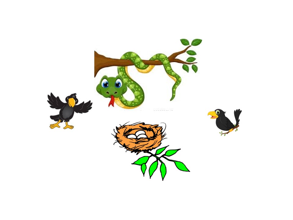 The Crows and the Cruel Snake