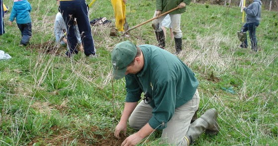 PA Environment Digest Blog: New Tools Available To Help with Trees in ...