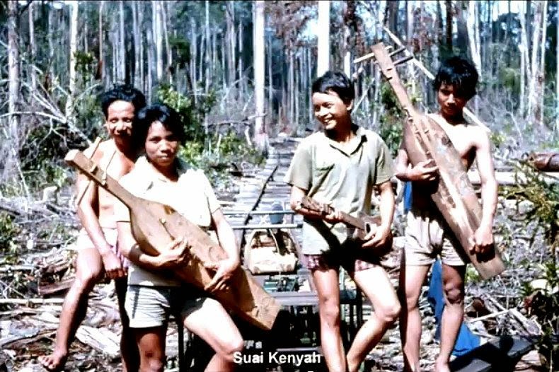 paren nyawi's blog: The musical instrument from Central Borneo:SAPE ...