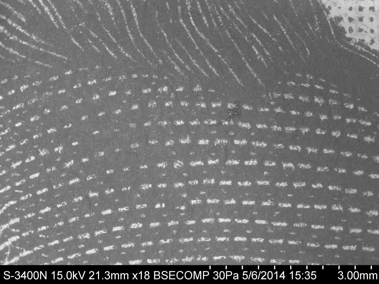 Scanning Electron Microscope Blog: Electron Microscopy and George ...