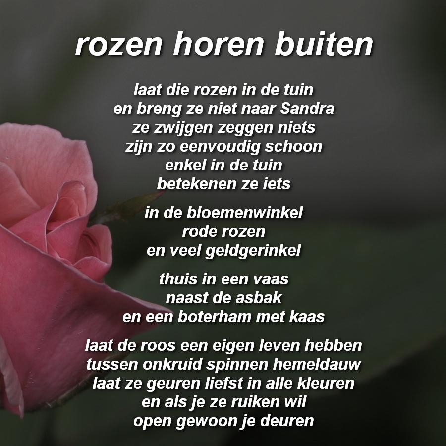 Gedichten in beeld...: waar rozen horen...