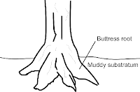 Chapter 7 :Dynamics: CHAPTER 8 SUPPORT AND MOVEMENT