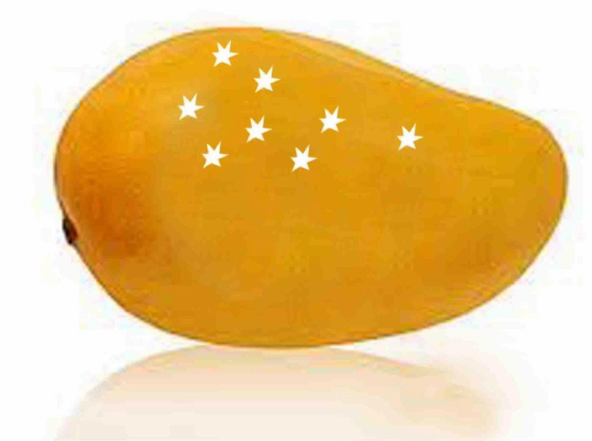 Naylamp Abracitos: Cuento: El Mango de Oro