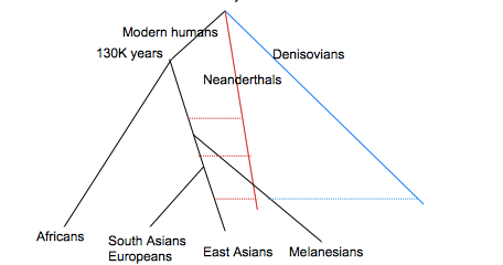 Musings: Evolutionary web