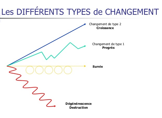 L'APPROCHE SYSTÉMIQUE DU CHANGEMENT