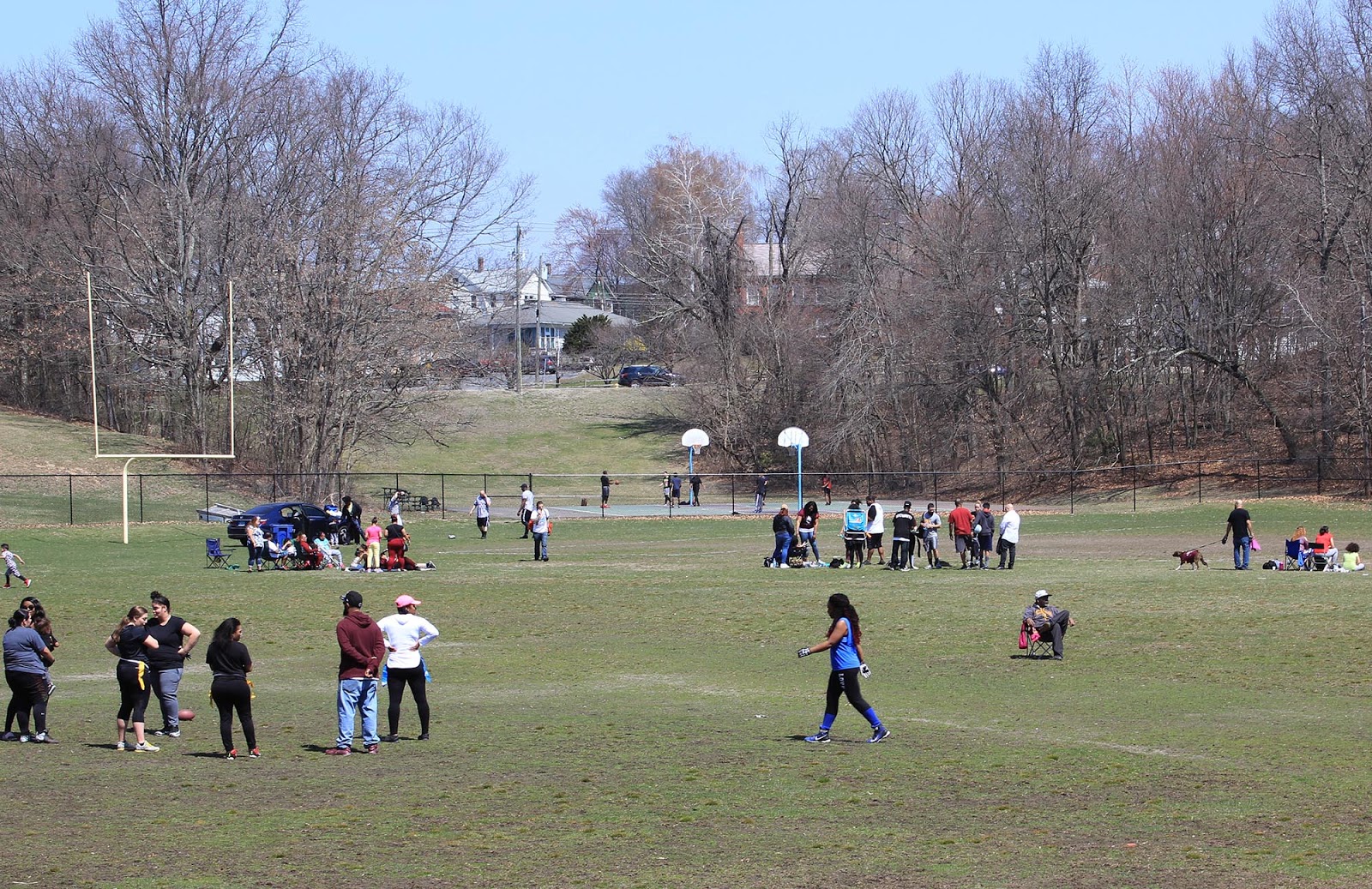 Waterbury Thoughts: Hamilton Park