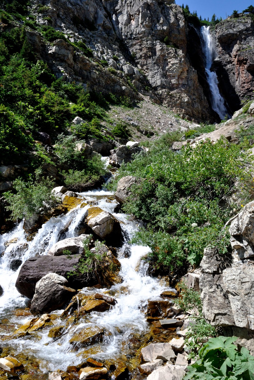 The Travels of Nancy Chalmers -- LOVE MONTANA: Apikuni Falls