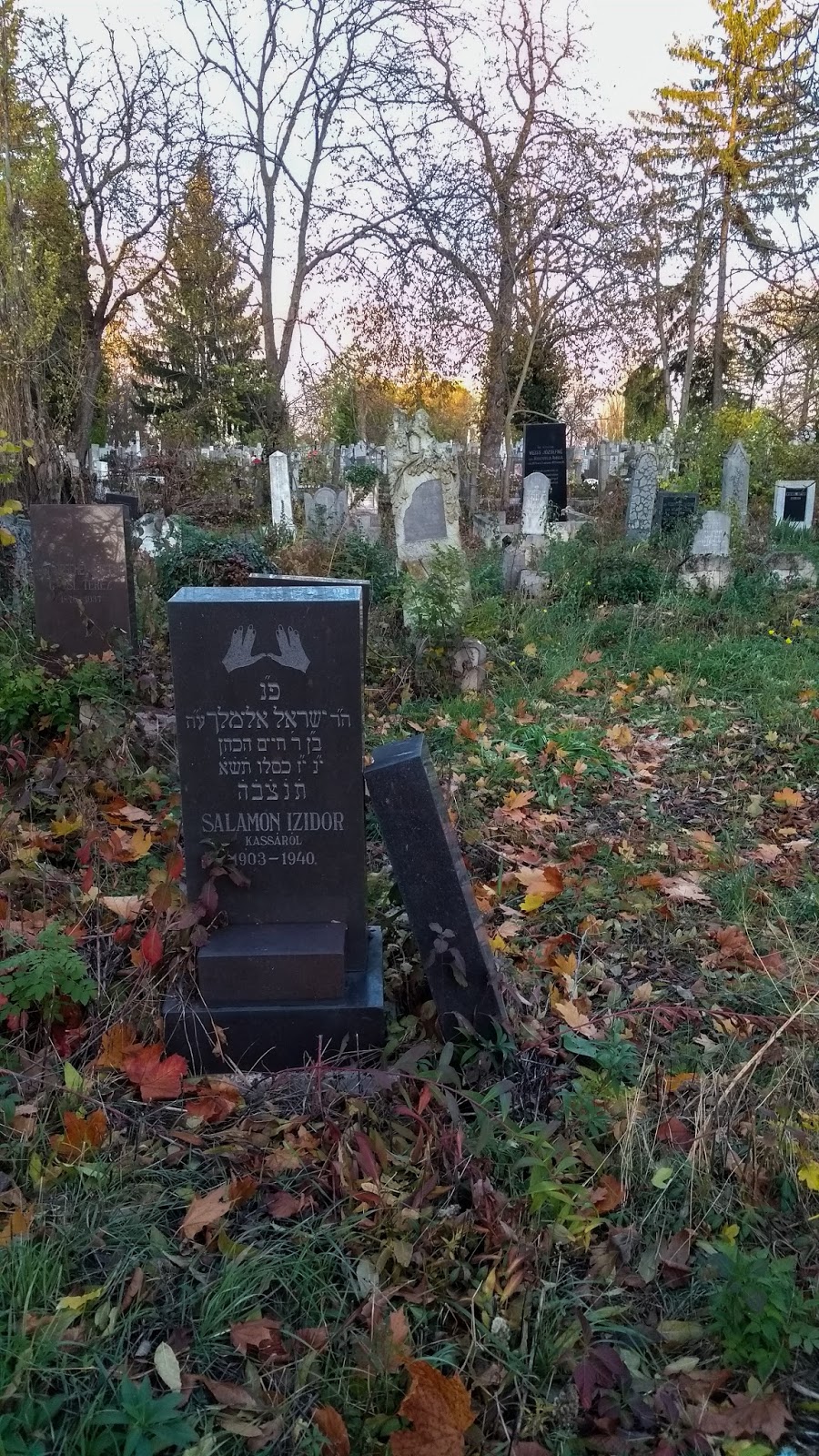 All Souls Day at The Jewish Cemetery in Cluj