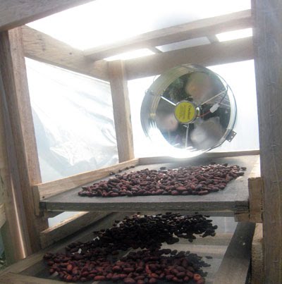 Pictures of African Cocoa Farming: Cocoa Drier--Construction (9)