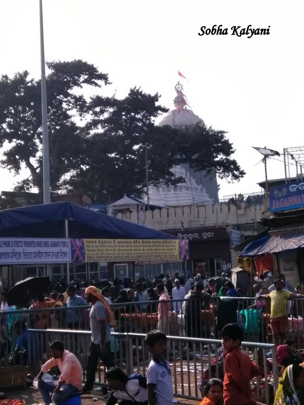 Beware of the Pandas in Puri Jagannath temple and Bhubaneswar Lingaraj ...