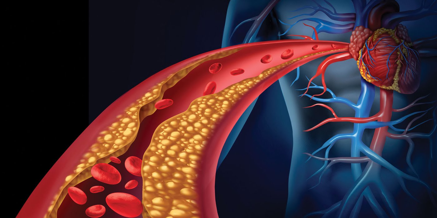 HFTB: Six Food to Improve Blood Quality.