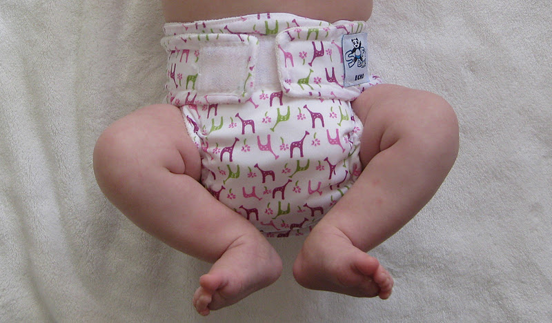 Crazy Joy: My First Cloth Diaper Post!!