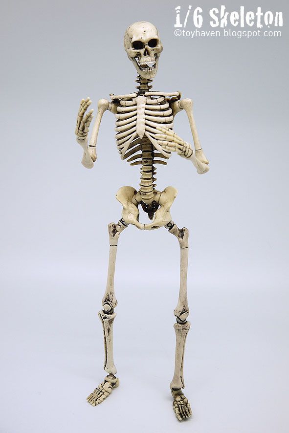 toyhaven: Review 1: Coo Model 1/6 scale Skeleton Soldier 12-inch figure ...