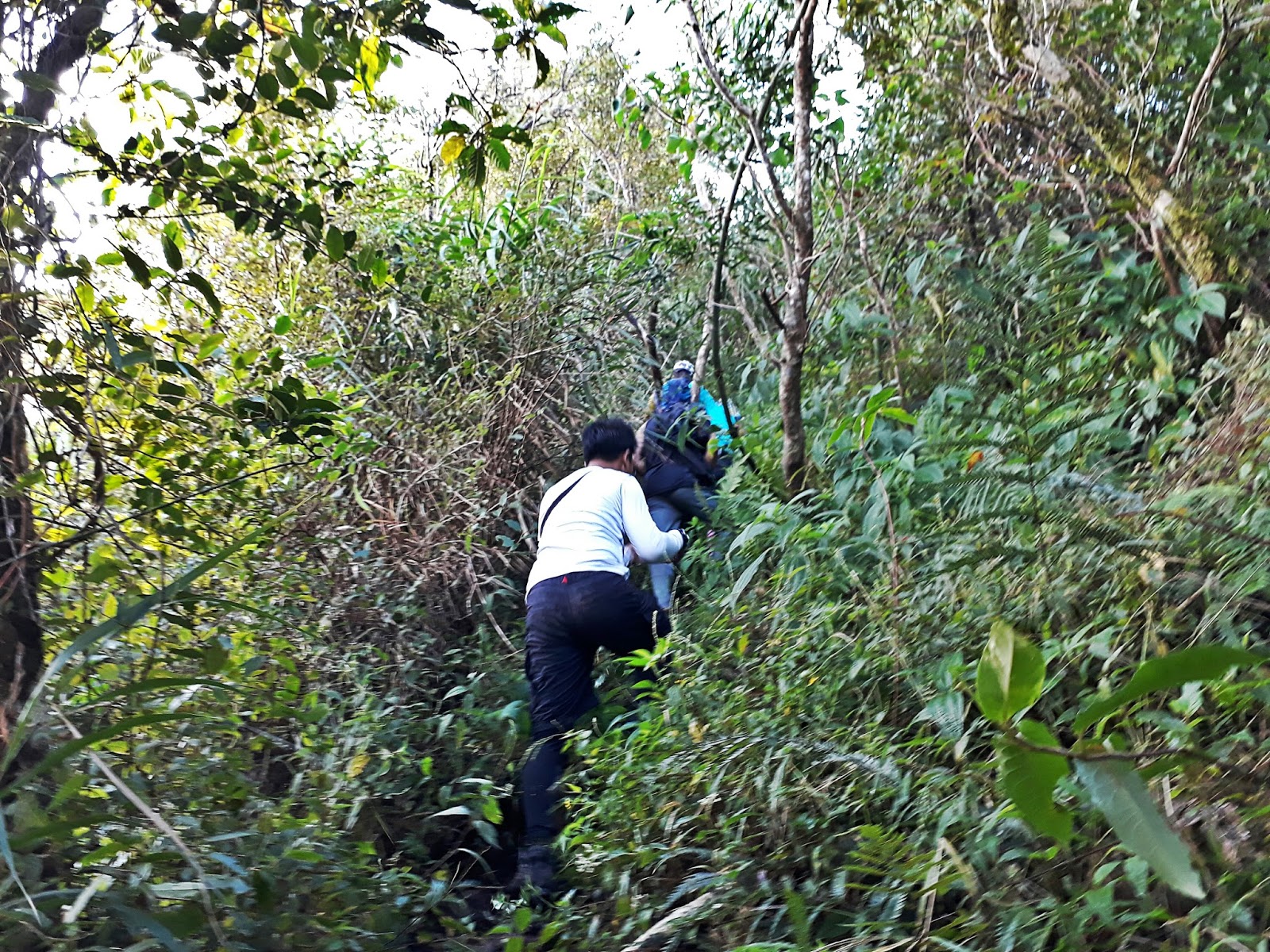 Travel with Life: Mt. Opao, Igbaras, Iloilo