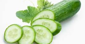 Ilmu Petani Berdasi: Klasifikasi dan Morfologi Tanaman Timun