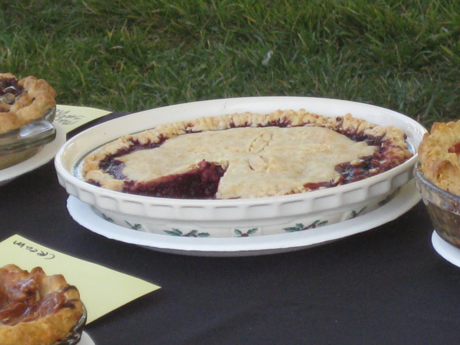 Within My Means: KCRW's 3rd Annual Good Food Pie Contest 2011 at LACMA