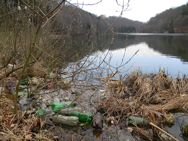 Blog de Calatorii si Drumetii Montane.: Lacul de la Codlea ,jud.Brasov ...