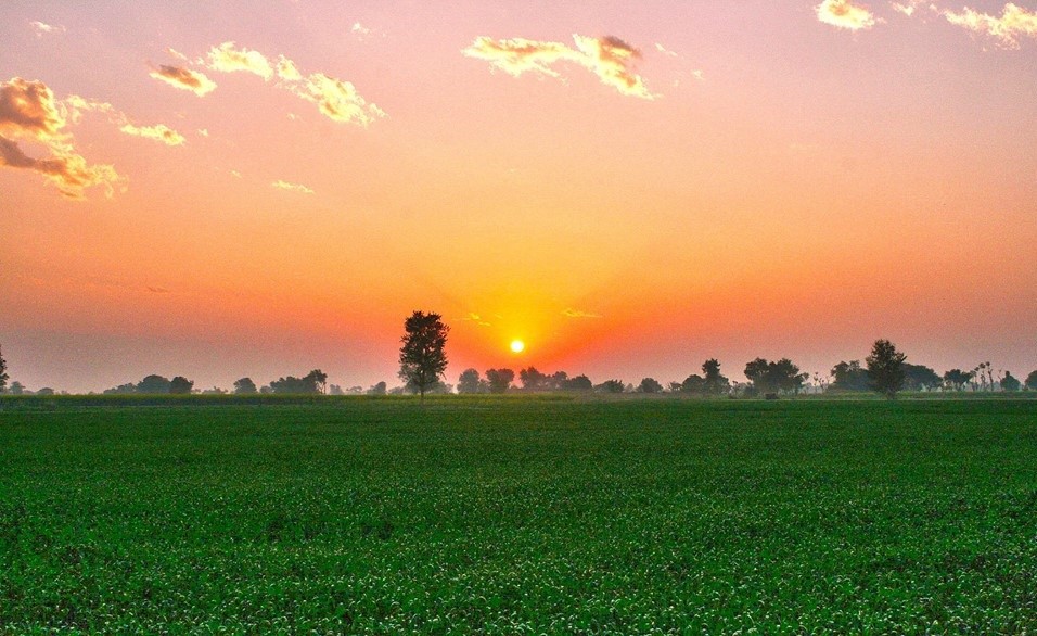 Sunrise | Fort Abbas City
